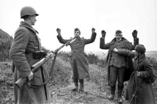 Wehrmacht soldiers surrender to Soviet Troops, Tula, 1941 - WW2 HistoryBook